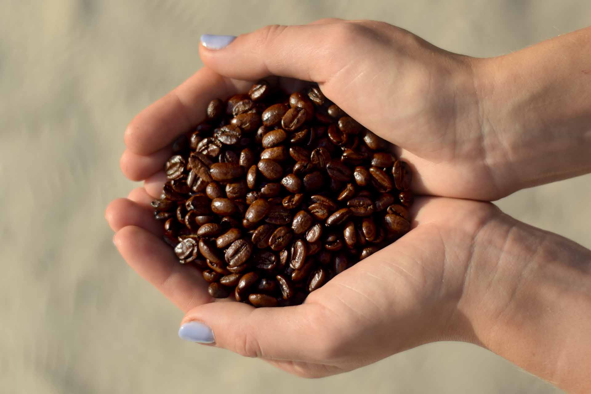 Our Coffee - Keys Coffee Co.